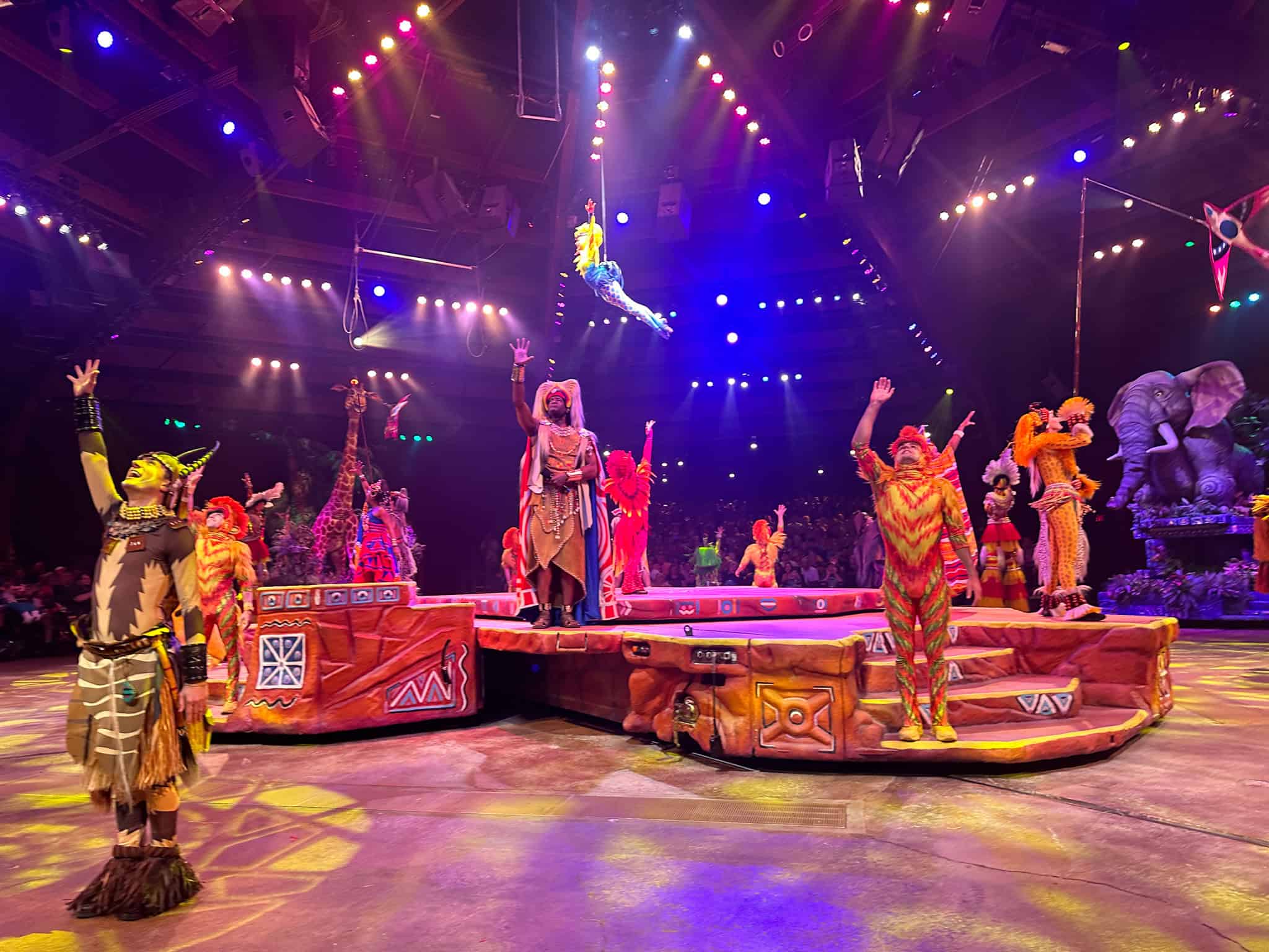 Festival of the Lion King - The Diary of a Disney Dad