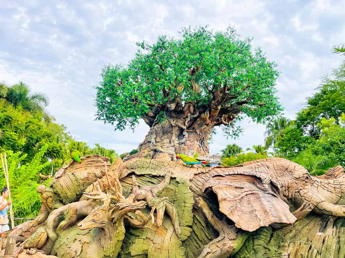 Tree of Life Animal Kingdom - The Diary of a Disney Dad