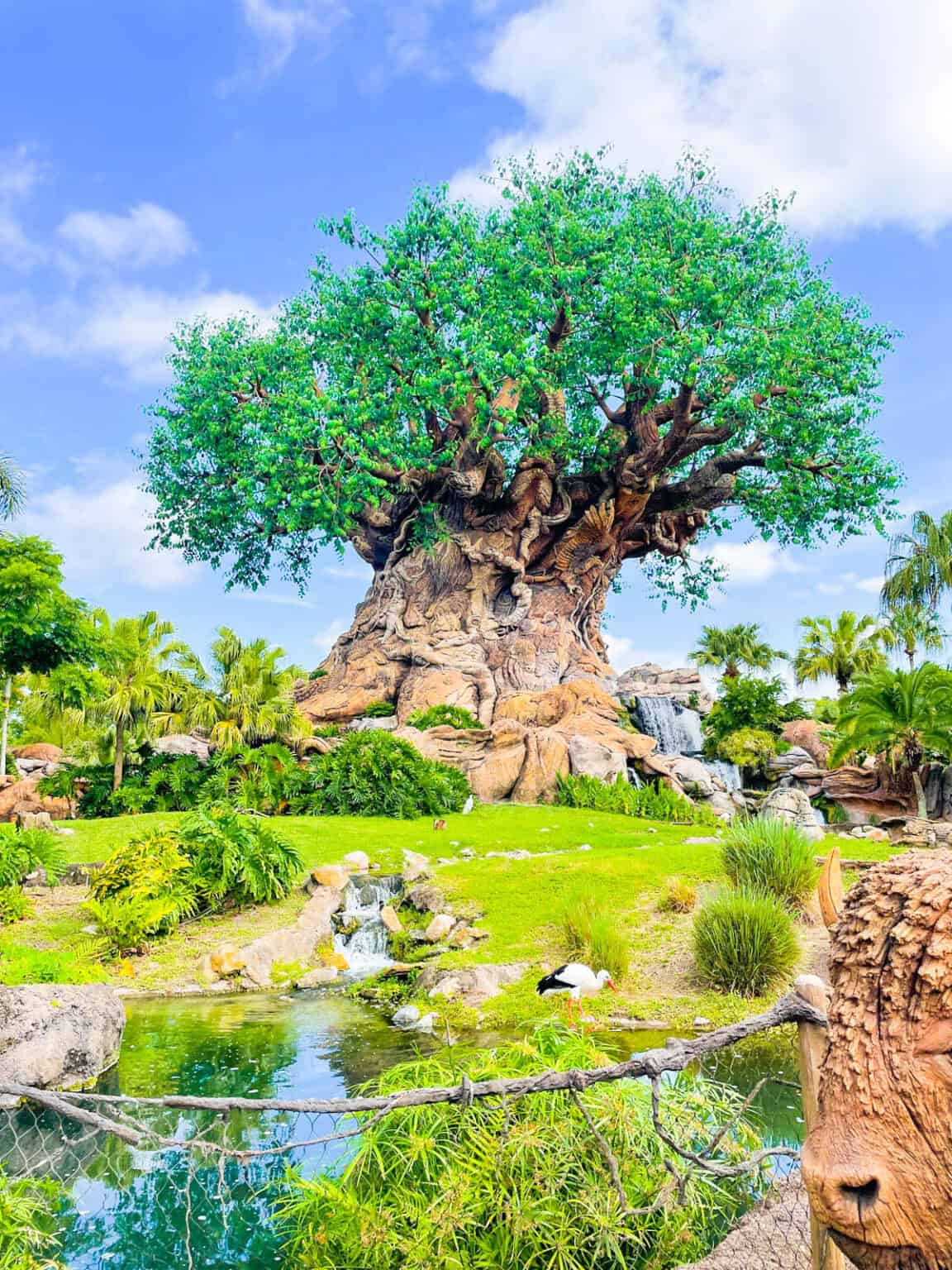 Animal Encounters: Winged Encounters – The Kingdom Takes Flight - The ...