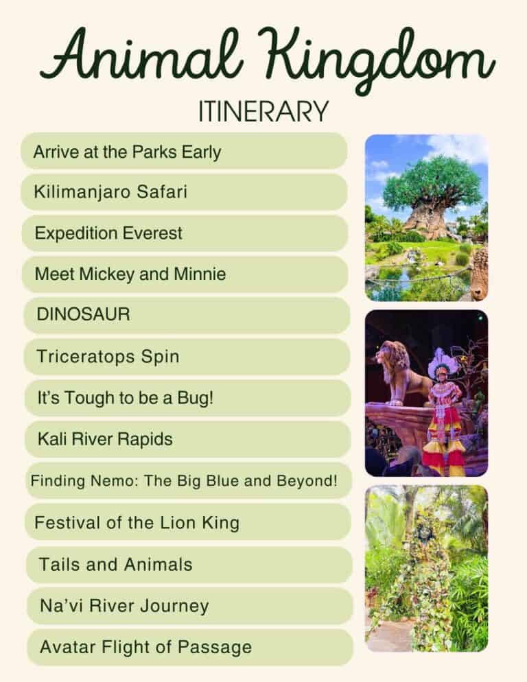 Animal Kingdom Itinerary - The Diary of a Disney Dad