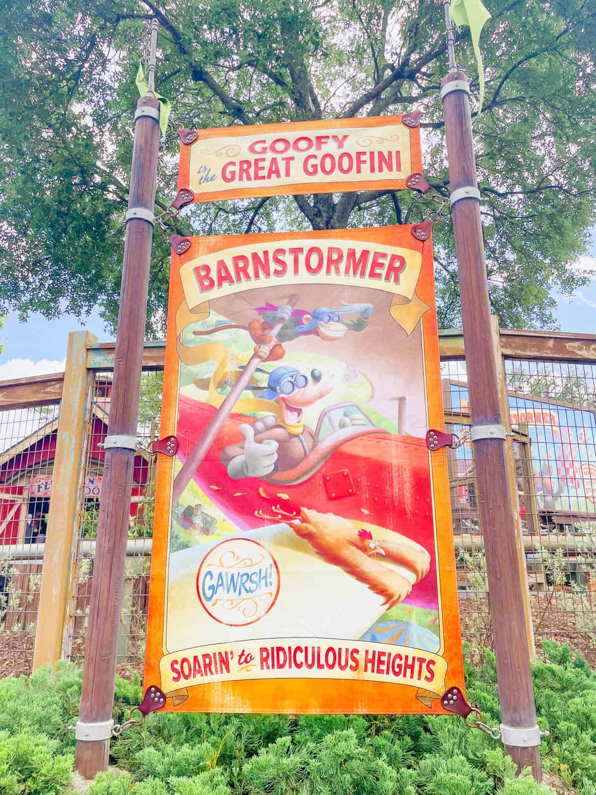 The Barnstormer - The Diary of a Disney Dad