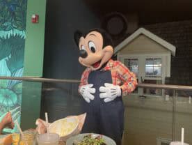 Roaring Fork - Disney - The Diary of a Disney Dad